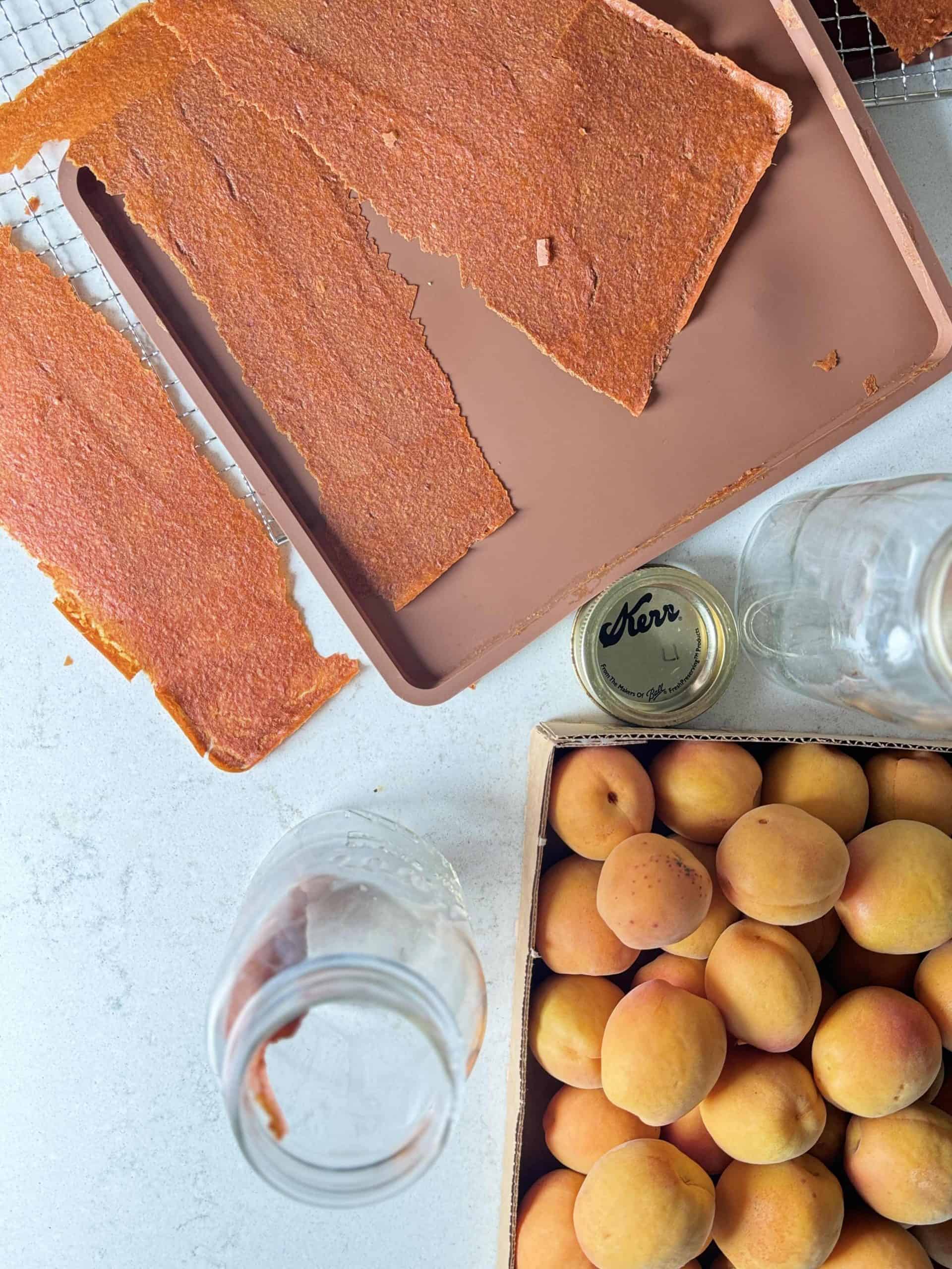 Homemade Apricot Fruit Leather the Easy Way - Wild and Sweet Life