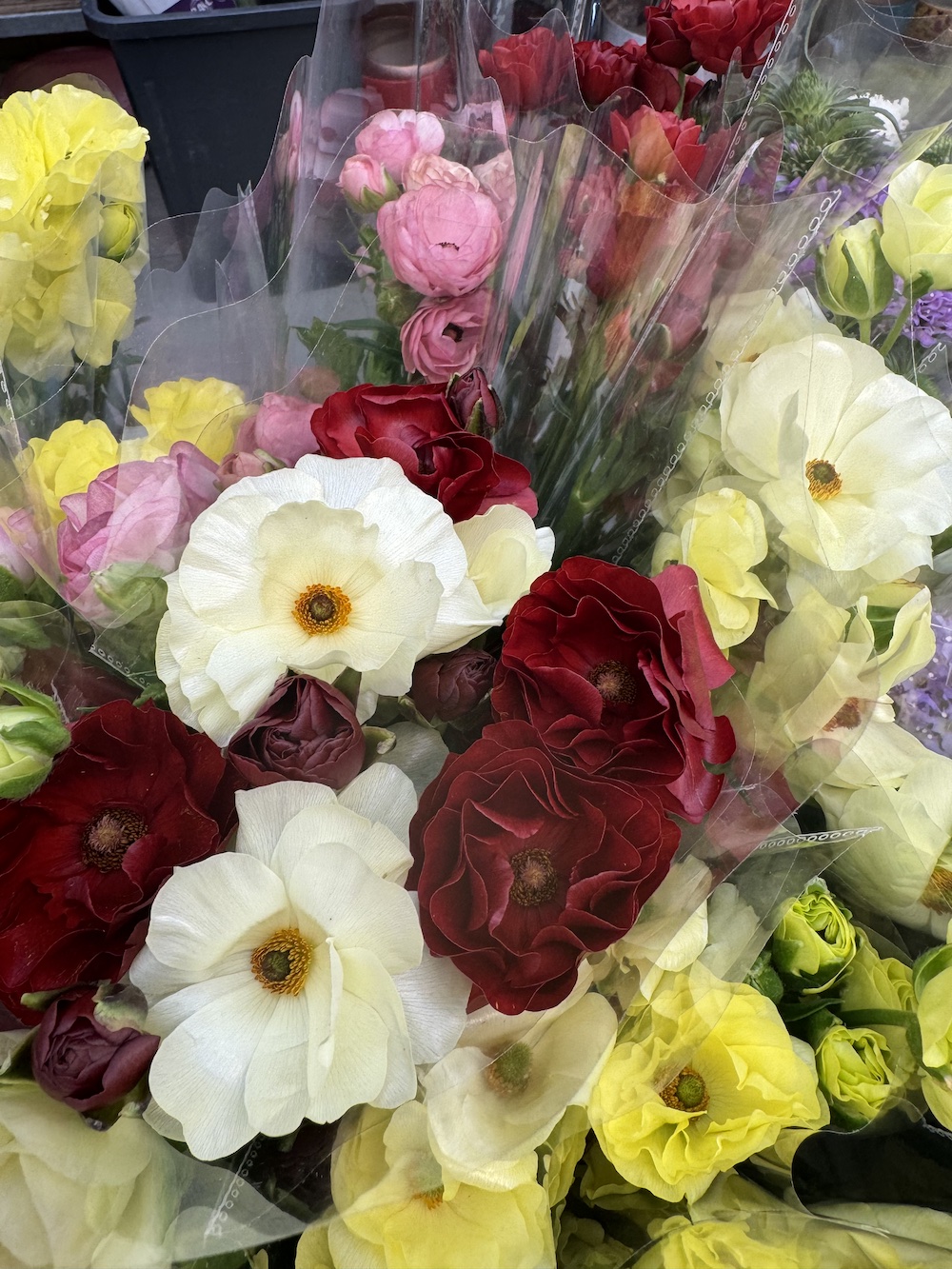 A Guide to Growing and Caring for Butterfly Ranunculus - Wild and Sweet ...